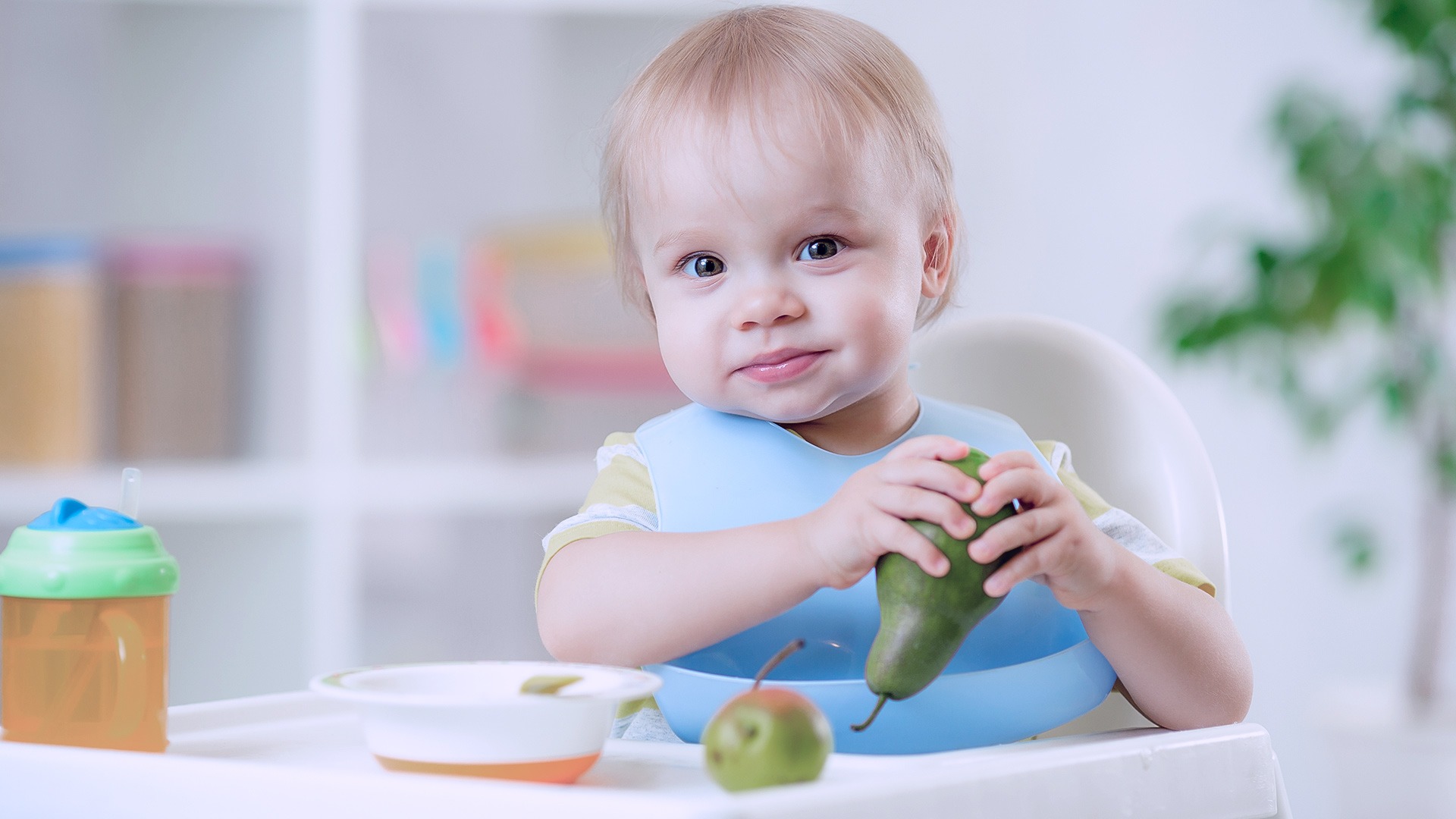 Miluklub - Kisdedtáplálási Kisokos